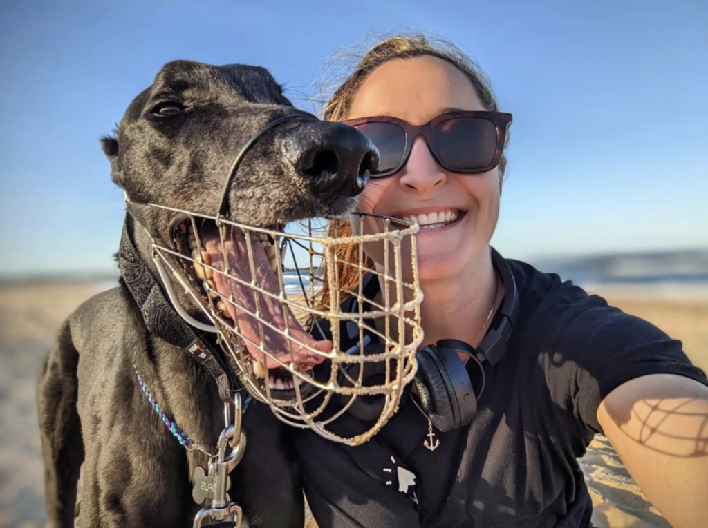 Rufus Finds His Perfect Fit • Greyhound Rescue